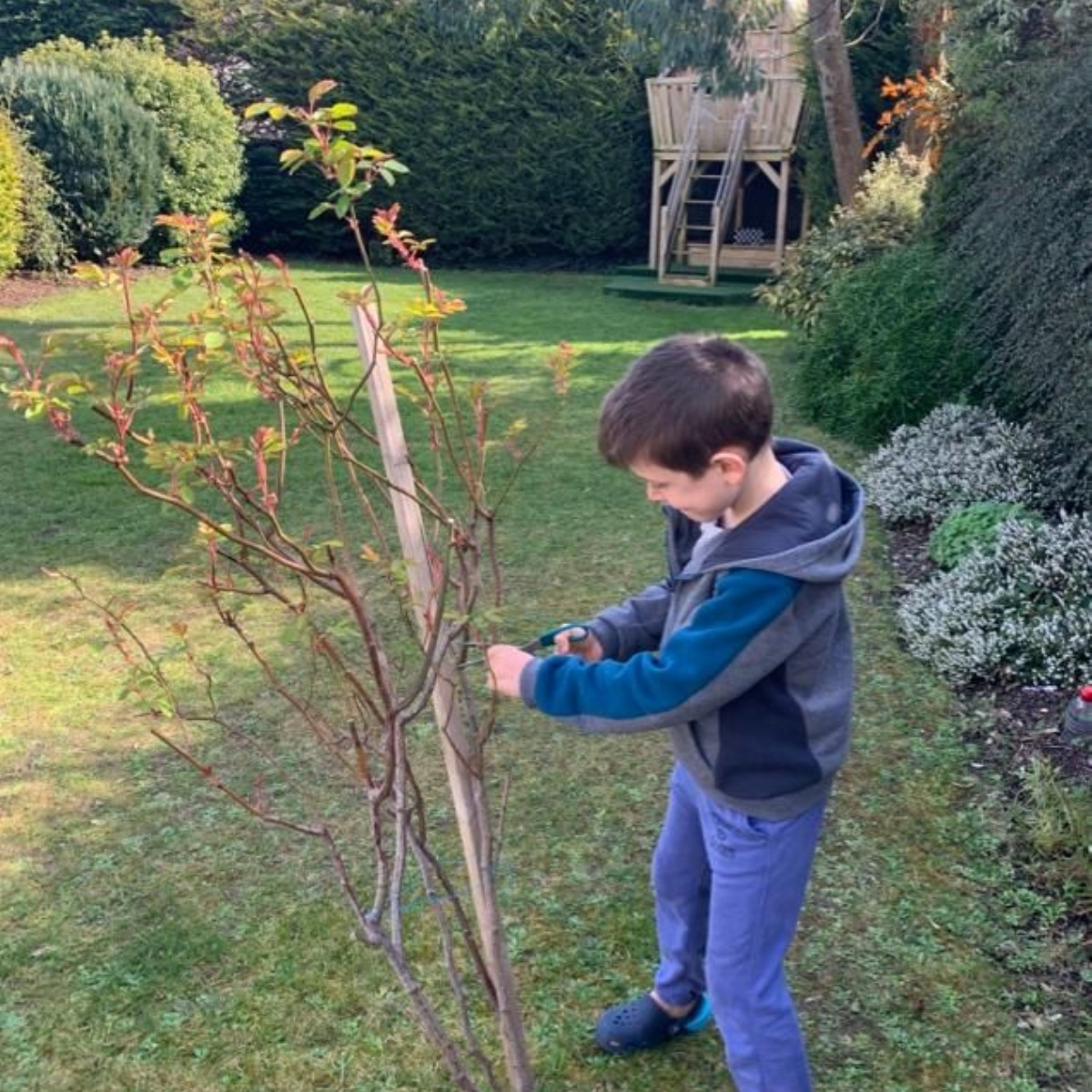 ST ANDREW'S COLLEGE DUBLIN - SAC Junior School